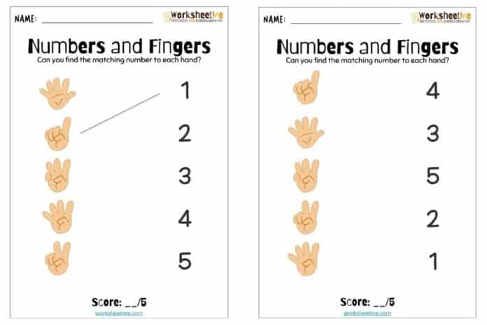 Number Finger Worksheet for Preschool and Kindergarten