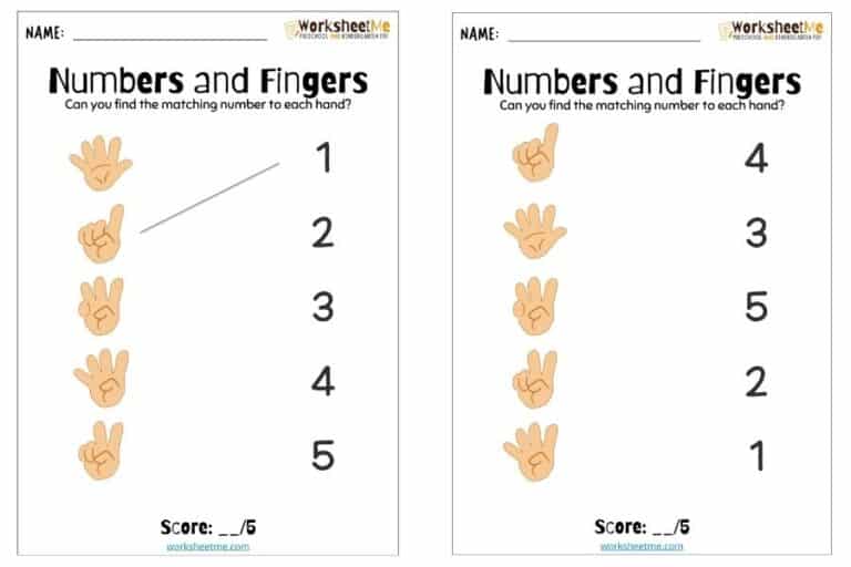 Number Finger Worksheet for Preschool and Kindergarten
